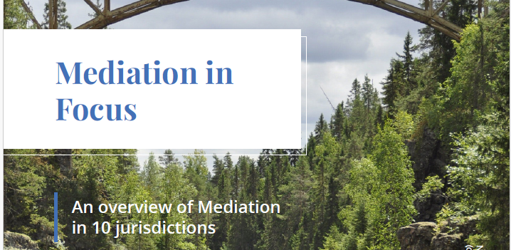 Mediation in Focus | CONSULEGIS